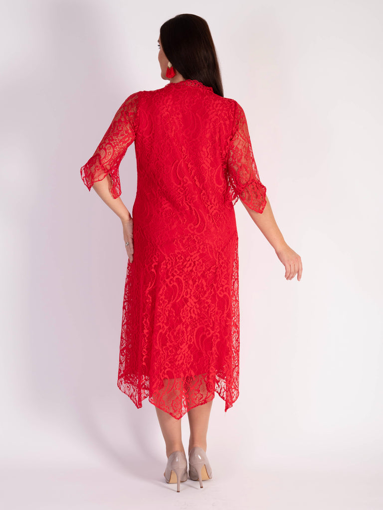 Poppy Lace Dress with Scallop Neck Detail | Chesca Direct